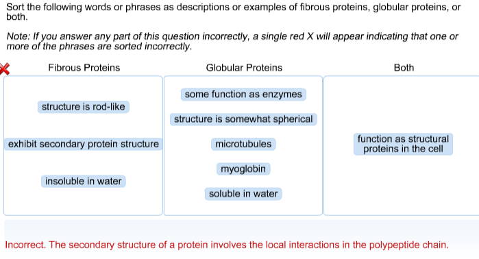 Solved Sort the following words or phrases as descriptions | Chegg.com