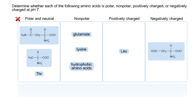 Solved Determine whether each of the following amino acids | Chegg.com