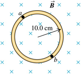 Solved A circular loop of wire lies in the plane of the | Chegg.com