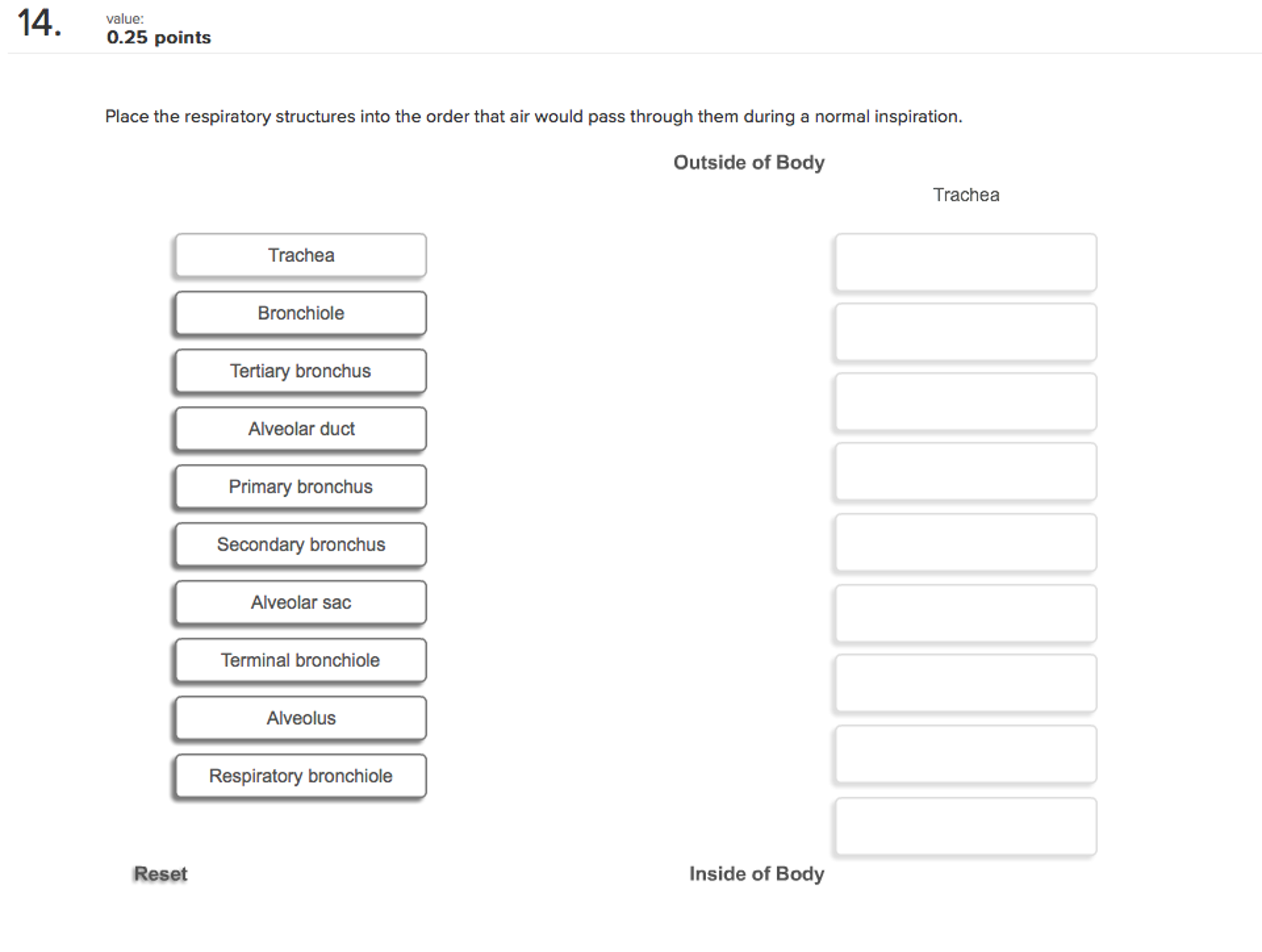 Solved: Place The Respiratory Structures Into The Order Th... | Chegg.com