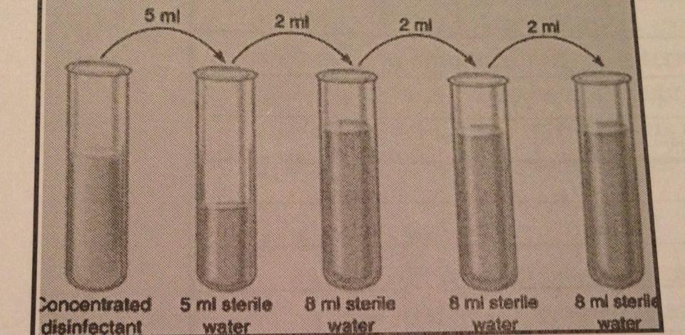 Solved Below is the dilution scheme we used to create the | Chegg.com