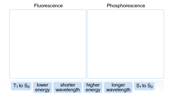 Solved Describe the differences between fluorescence and | Chegg.com