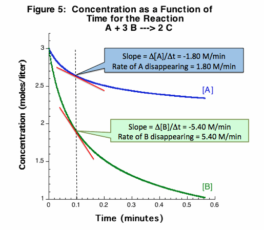 Solved Figure 5: Concentration as a Function of Time for the | Chegg.com