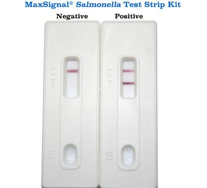 Solved Question 1 The lateral flow strip test shown below | Chegg.com