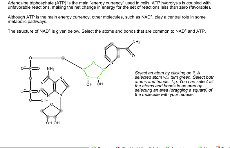 Solved Adenosine triphosphate (ATP) is the main "energy | Chegg.com