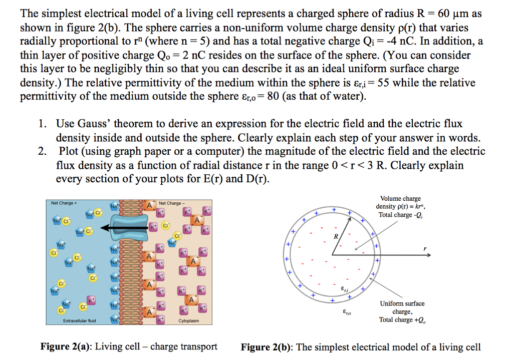 Solved The simplest electrical model of a living cell | Chegg.com