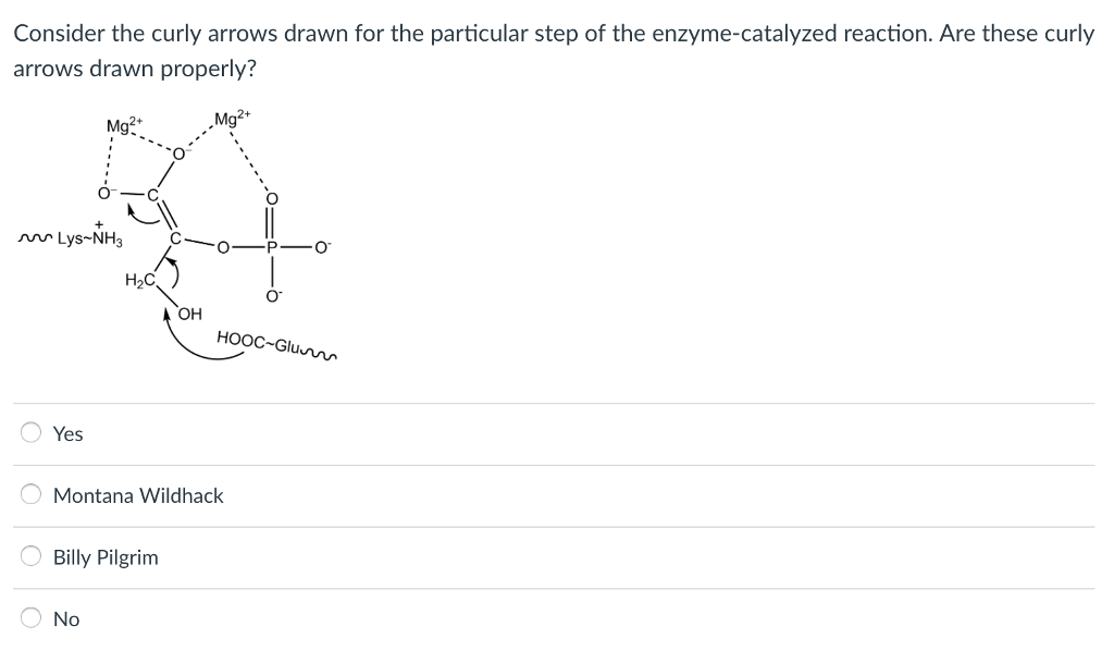 Solved Consider the curly arrows drawn for the particular | Chegg.com