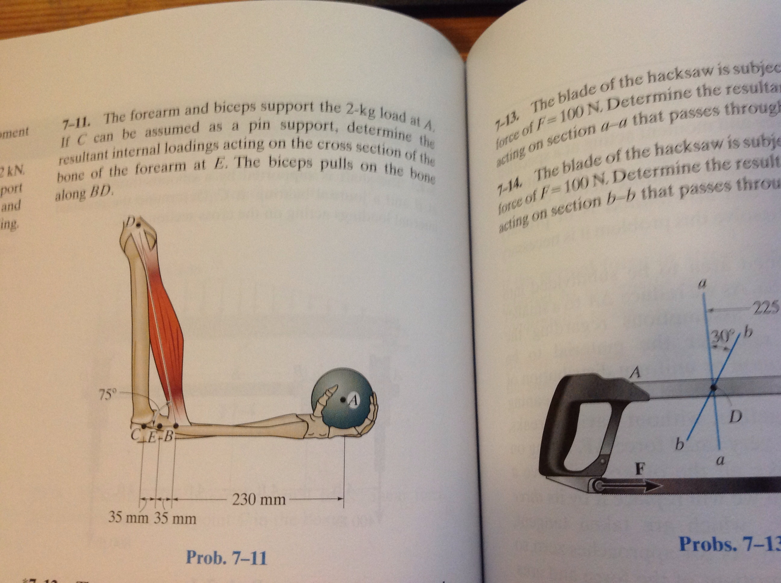 Solved The forearm and biceps support the 2-kg load at A, if | Chegg.com