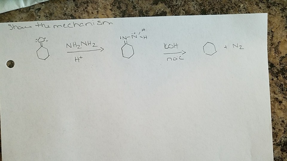 Solved NH2NH2 Lost HE | Chegg.com