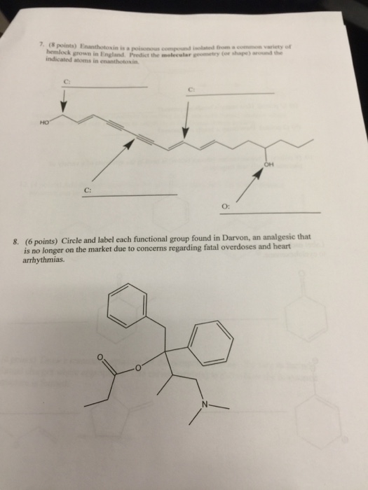 Solved Circle and label each functional group found in | Chegg.com