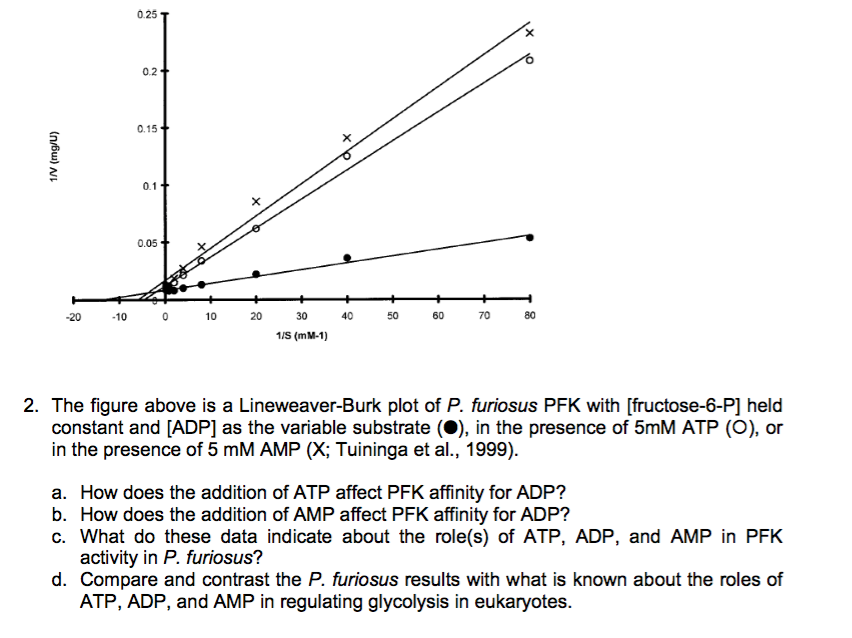 Solved The figure above is a Lineweaver-Burk plot of P. | Chegg.com