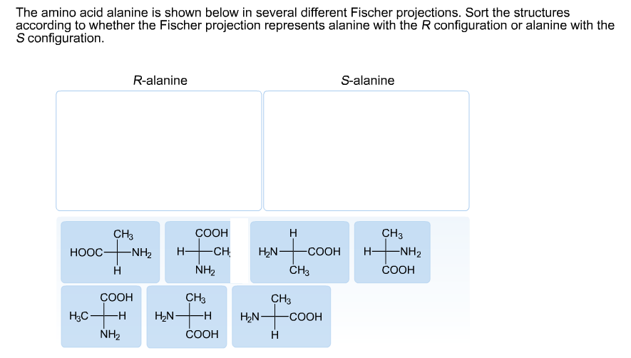 Solved The amino acid alanine is shown below in several | Chegg.com