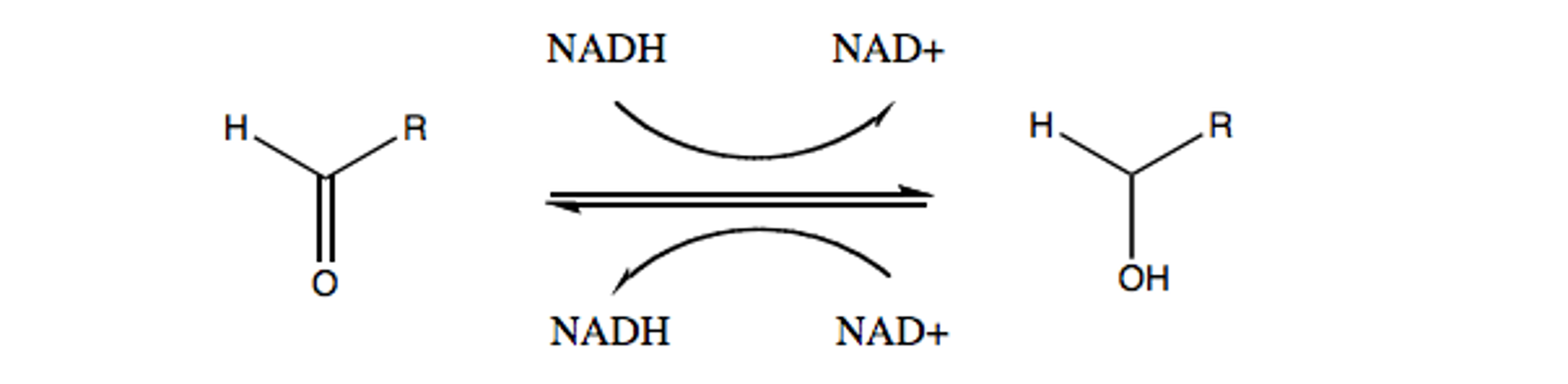 Solved Alcohol Dehydrogenases Use Nadph Or Nadh To Reduce Chegg