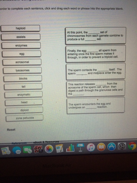 Solved order to complete each sentence, click and drag each | Chegg.com