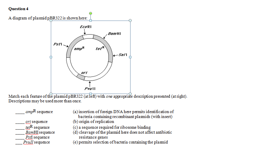 Solved A diagram of plasmid pBR322 is shown here: Match | Chegg.com