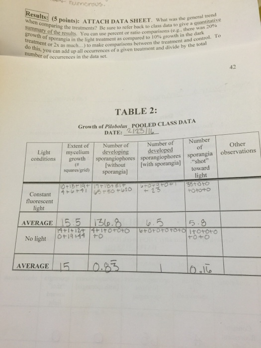 Solved nunordus Results points): ATTACH DATA SHEET. What was | Chegg.com