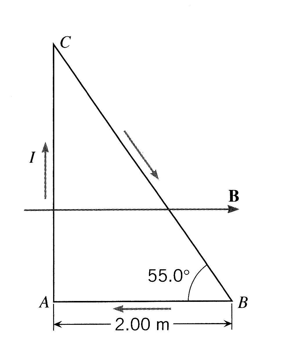 Solved The triangular loop of wire shown in the drawing | Chegg.com