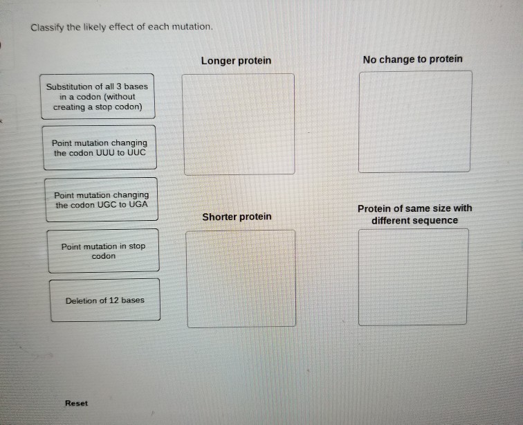 Solved Classify the likely effect of each mutation. Longer | Chegg.com