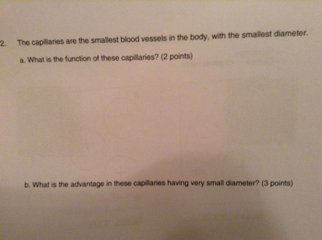 Solved 2. The capillaries are the smallest blood vessels in | Chegg.com