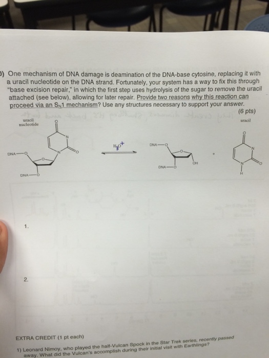 Solved One mechanism of DNA damage is deamination of the | Chegg.com