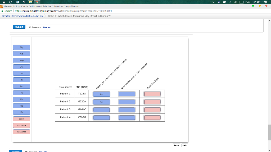 Solved Part C - How does each SNP affect the amino acid | Chegg.com