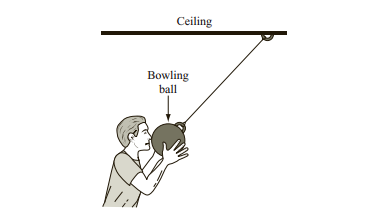 Solved A pendulum is made with a bowling ball as the bob and | Chegg.com