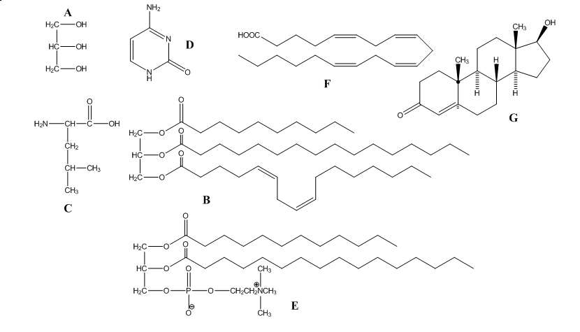 Solved Which Of The Structures Below Are Classed As Lipids Chegg solved-which-of-the-structures-below-are-classed-as-lipids-chegg