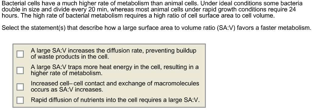 Solved Bacterial cells have a much higher rate of metabolism | Chegg.com