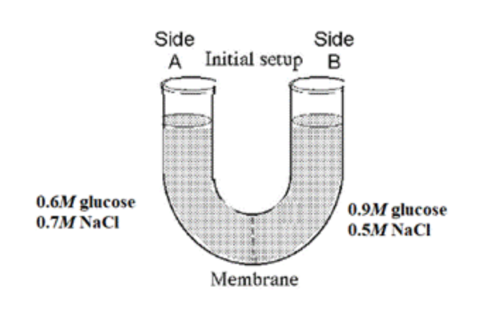 Solved The solutions in the arms of the U-tube shown above | Chegg.com