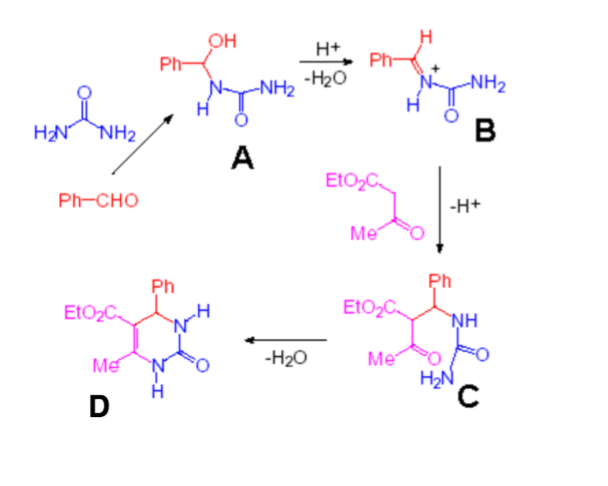 Solved Show the mechanism of the urea attacking the | Chegg.com