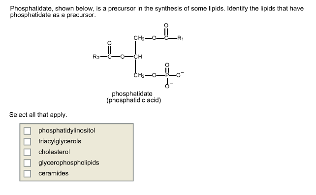 Solved Phosphatidate, shown below, is a precursor in the | Chegg.com