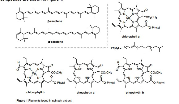 Solved: Comparing The Structures Of The Carotenes To The C... | Chegg.com