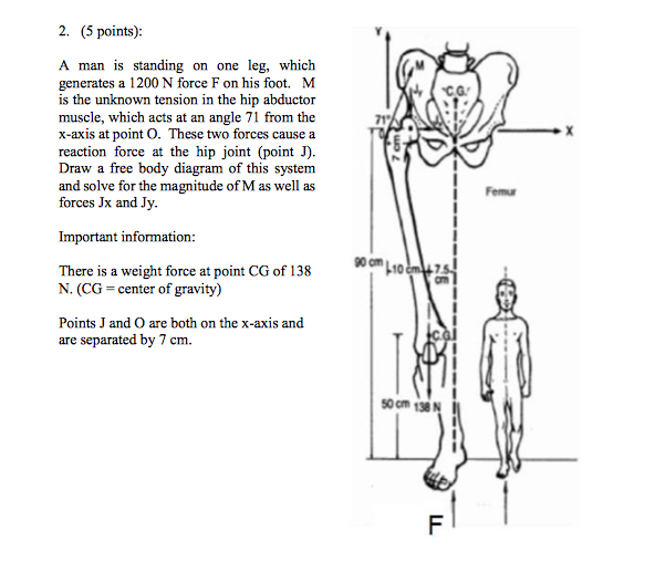 Solved 2 5 Points A Man Is Standing On One Leg Which