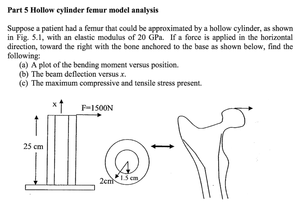 Solved Suppose a patient had a femur that could be | Chegg.com