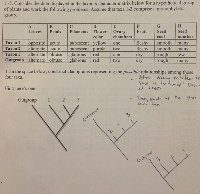 Solved Consider the data displayed in the taxon x character | Chegg.com
