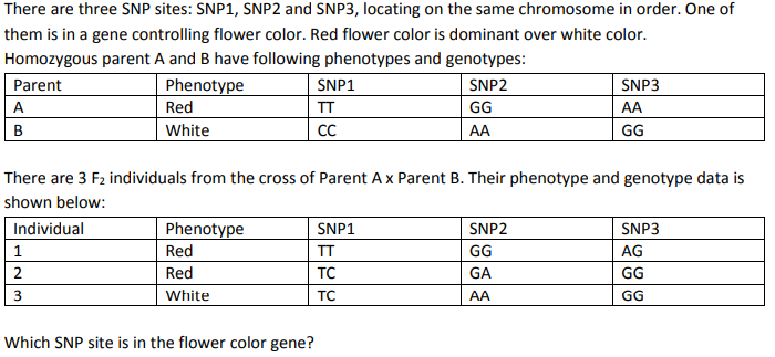 Solved There are three SNP sites: SNP1, SNP2 and SNP3, | Chegg.com