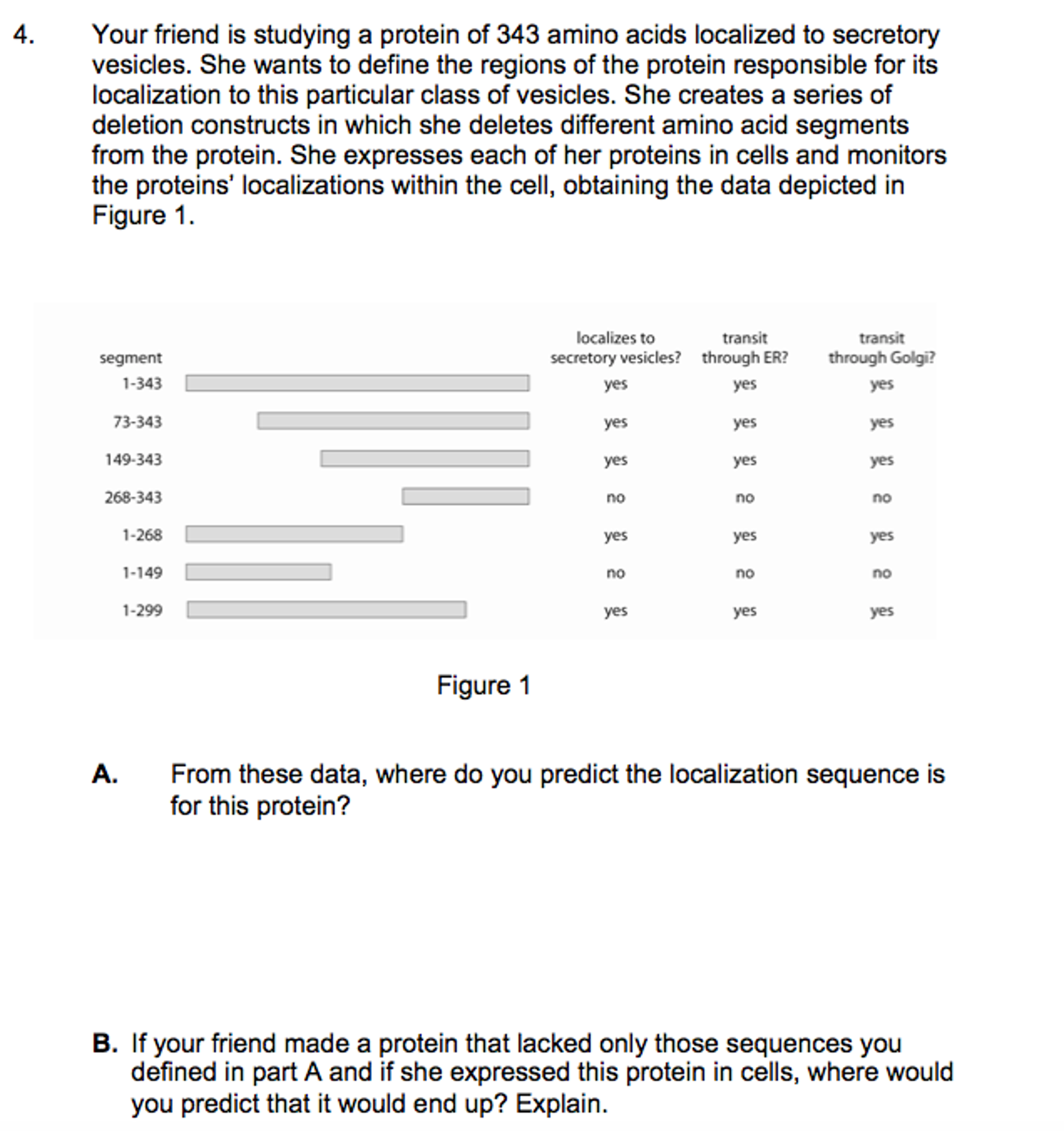 Solved Your friend is studying a protein of 343 amino acids | Chegg.com