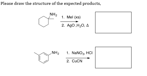 Solved Draw The Structure Of The Expected Products
