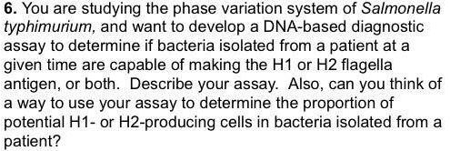 Solved 6. You are studying the phase variation system of | Chegg.com