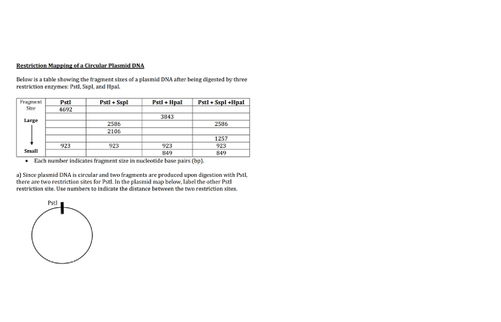 Solved Below is a table showing the fragment sizes of a | Chegg.com