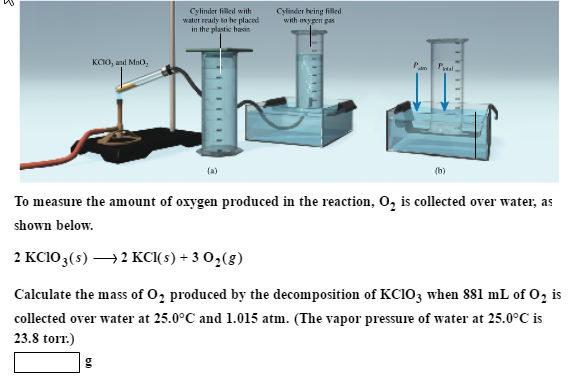Solved To measure the amount of oxygen produced in the | Chegg.com