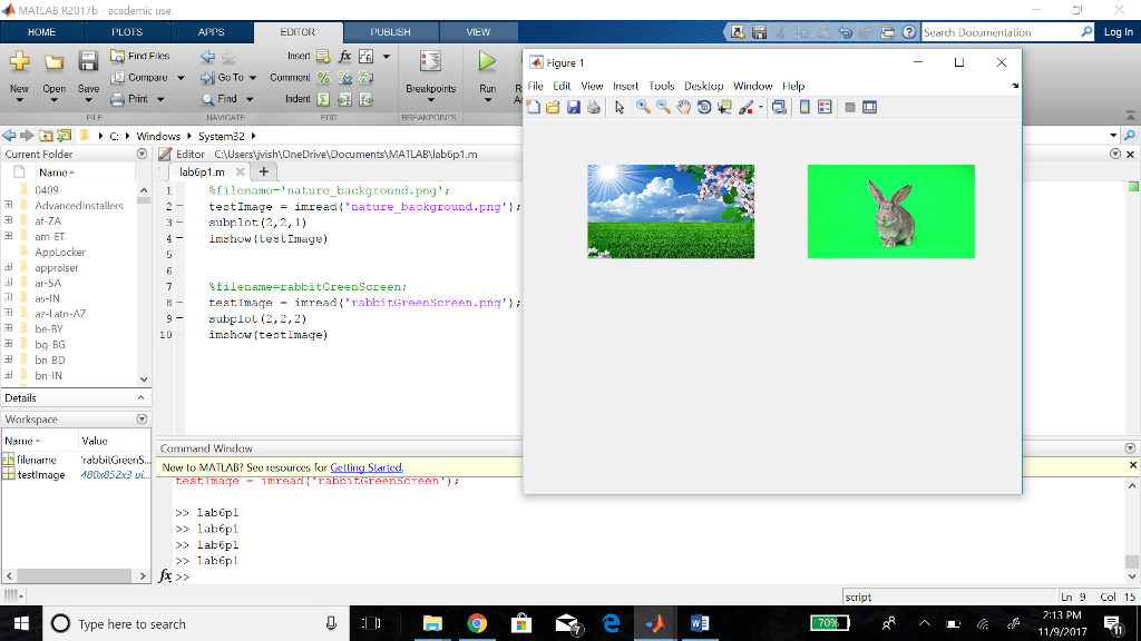 Solved I have picture of Rabbit with a Green background, and | Chegg.com
