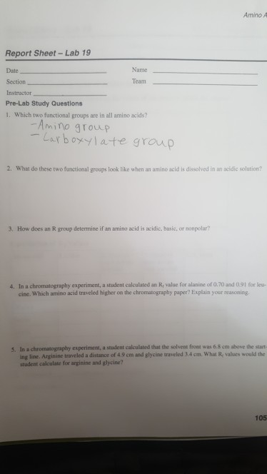 Solved Amino A Report Sheet- Lab 19 Date Section Instructor | Chegg.com