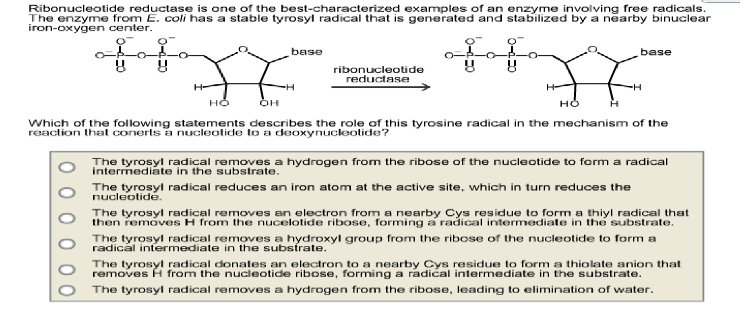 Solved Ribonucleotide reductase is one of the | Chegg.com