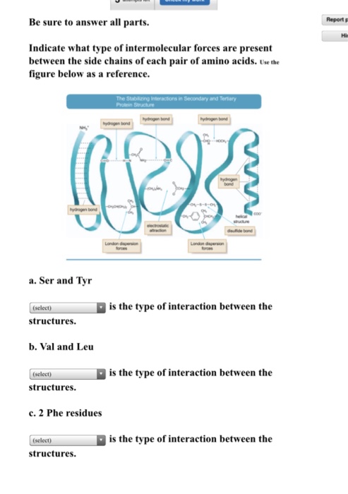 Solved Indicate what type of intermolecular forces are | Chegg.com Solved Indicate what type of intermolecular forces are | Chegg.com