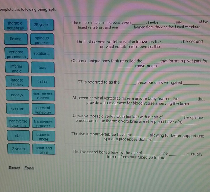 Solved Complete the following paragraph | Chegg.com