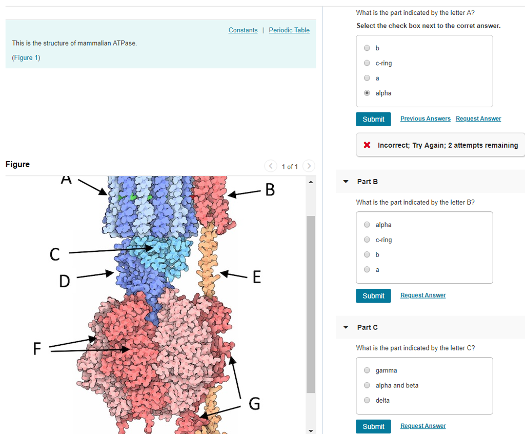 Solved What is the part indicated by the letter A? Select | Chegg.com
