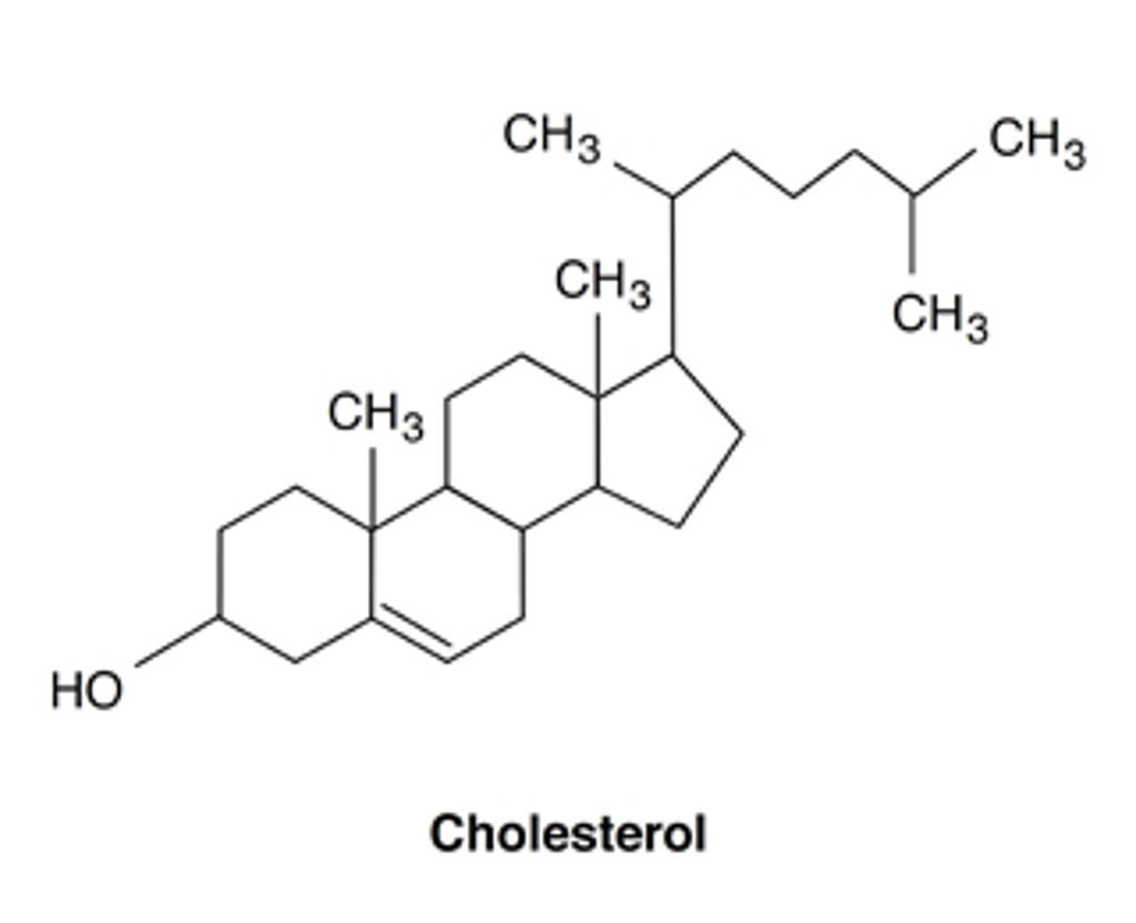 Cholesterol Molecule With Carbon Atoms