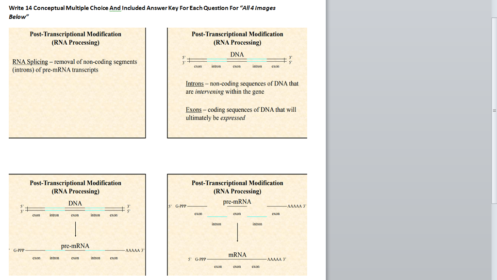 Solved Note: Write 14 Conceptual Multiple Choice And | Chegg.com