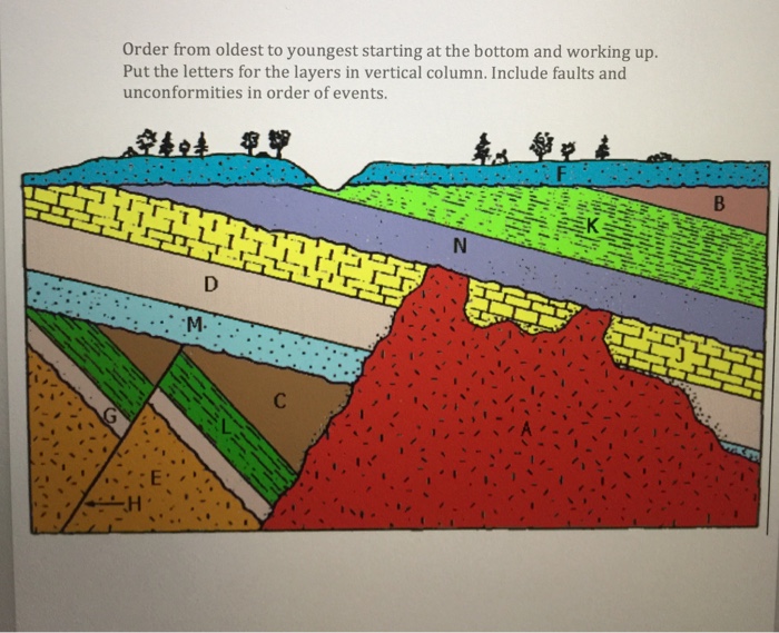 Solved Order from oldest to youngest starting at the bottom | Chegg.com